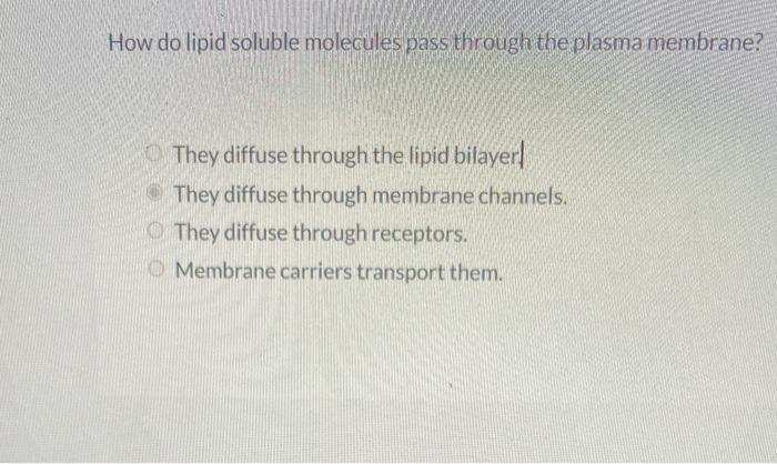Solved How do lipid soluble molecules pass through the | Chegg.com