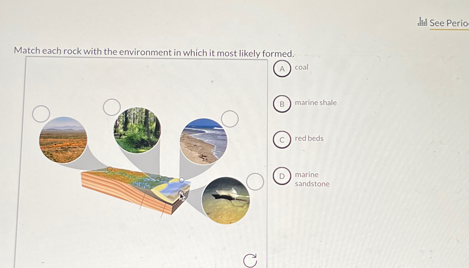 Solved See PerioMatch each rock with the environment in | Chegg.com