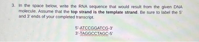 Solved 3. In the space below, write the RNA sequence that | Chegg.com