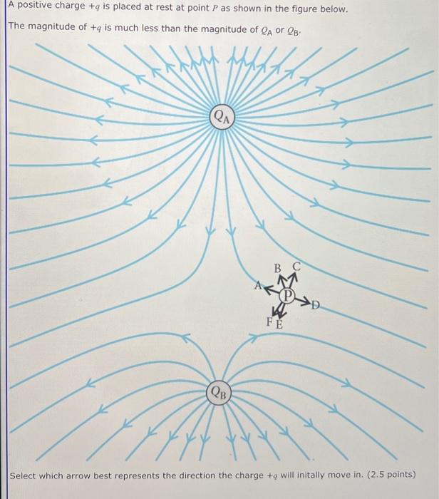 Solved A positive charge +q is placed at rest at point P as | Chegg.com