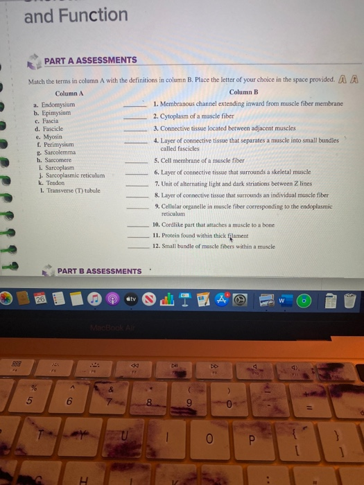 Solved and Function PART A ASSESSMENTS Match the terms in | Chegg.com