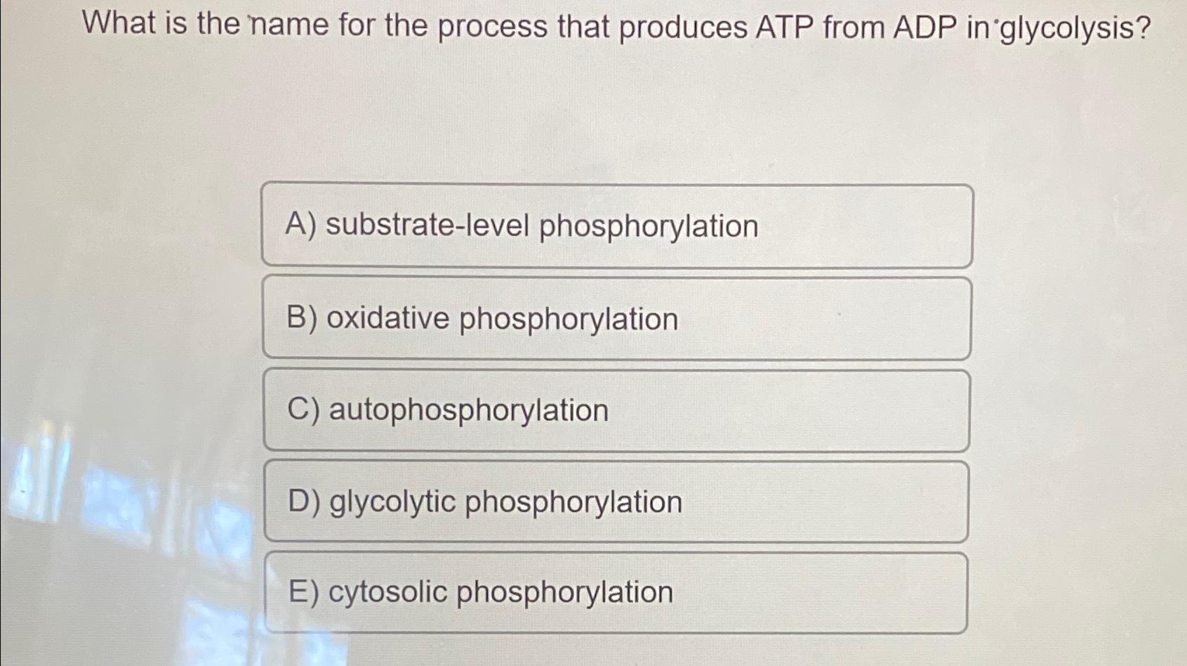 Solved What is the name for the process that produces ATP | Chegg.com