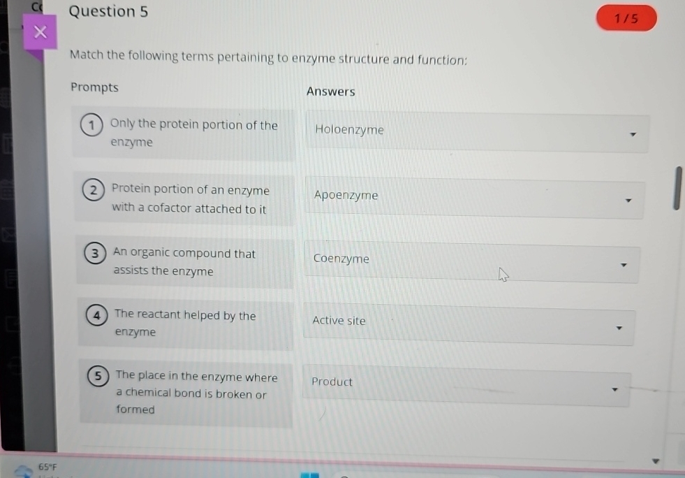 Solved Question 5Match the following terms pertaining to | Chegg.com