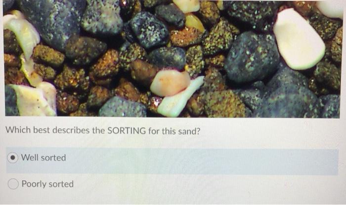 Solved Which best describes the SORTING for this sand? | Chegg.com