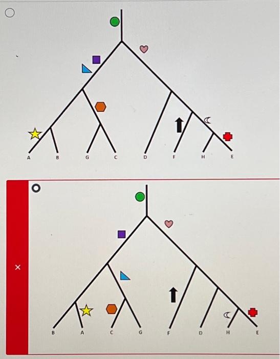 Solved which of the following trees is the correct | Chegg.com