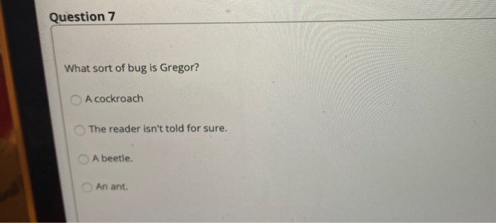Solved Question 7 What sort of bug is Gregor? A cockroach | Chegg.com