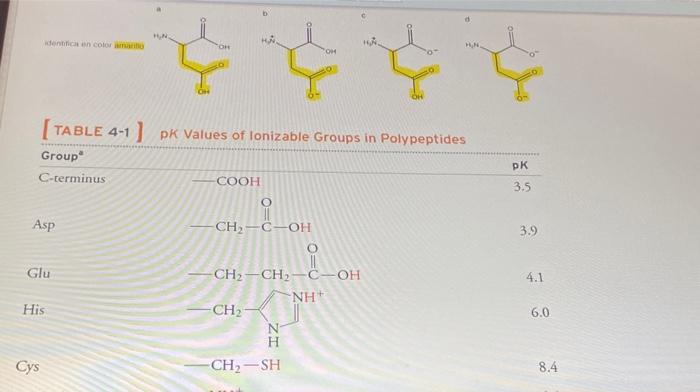 Solved Which of the following structures exhibits the | Chegg.com