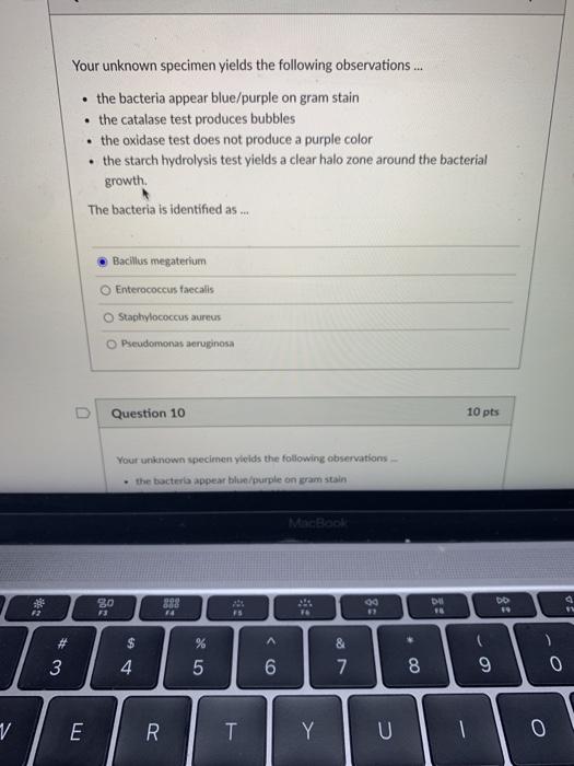 Solved Your unknown specimen yields the following | Chegg.com