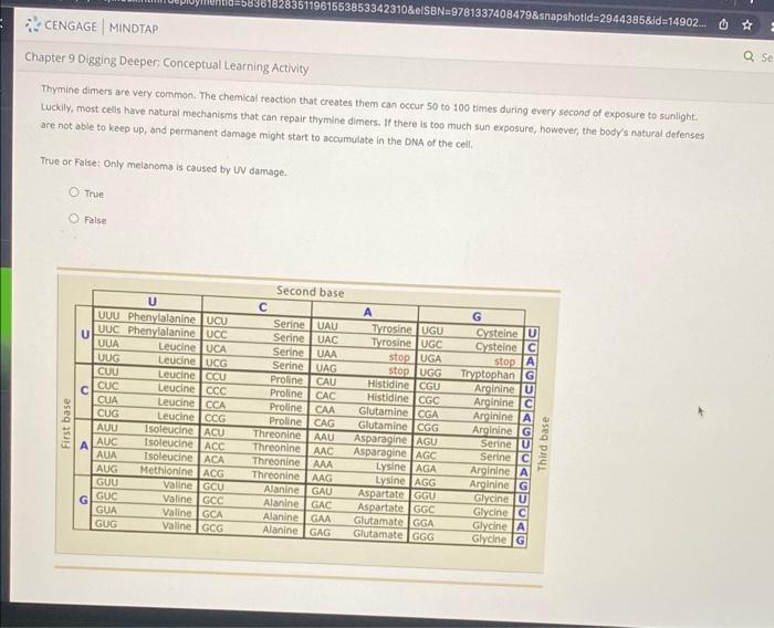 Solved CENGAGE MINDTAP Chapter 9 Digging Deeper: Conceptual | Chegg.com