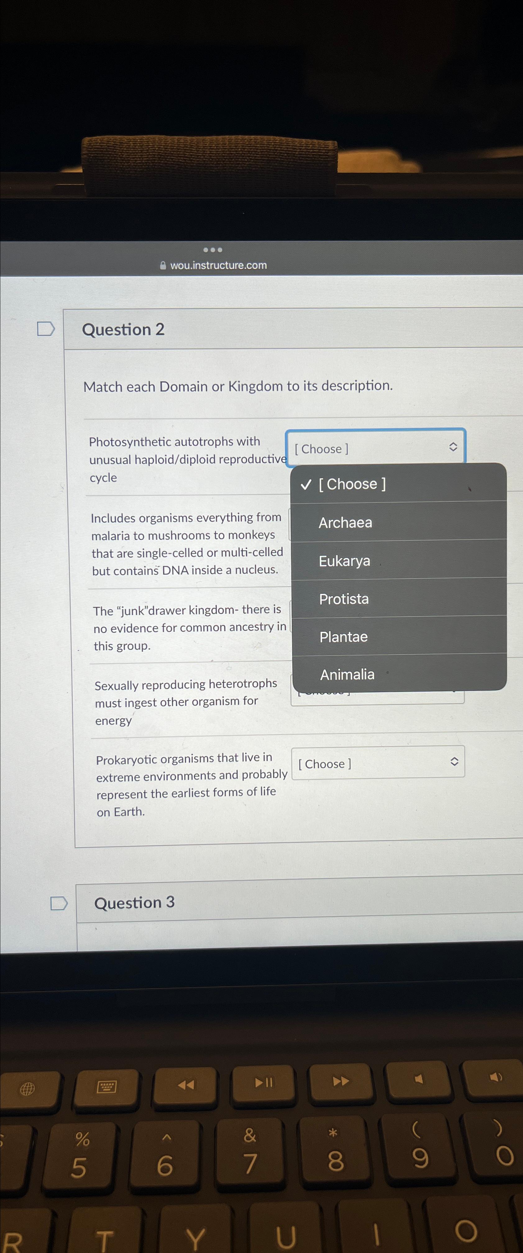Solved wou.instructure.comQuestion 2Match each Domain or | Chegg.com