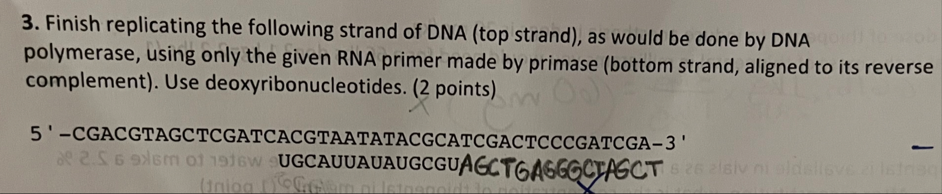Solved Finish replicating the following strand of DNA (top | Chegg.com