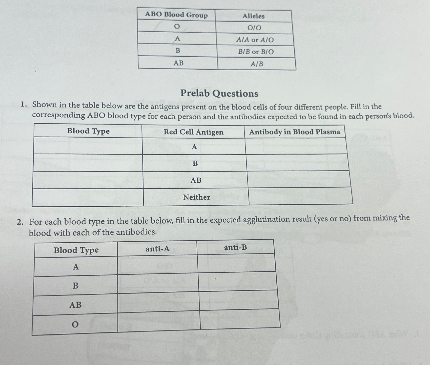 Solved \table[[ABO Bloo Group,Alleles],[O,OOPLEASE ANSWER | Chegg.com