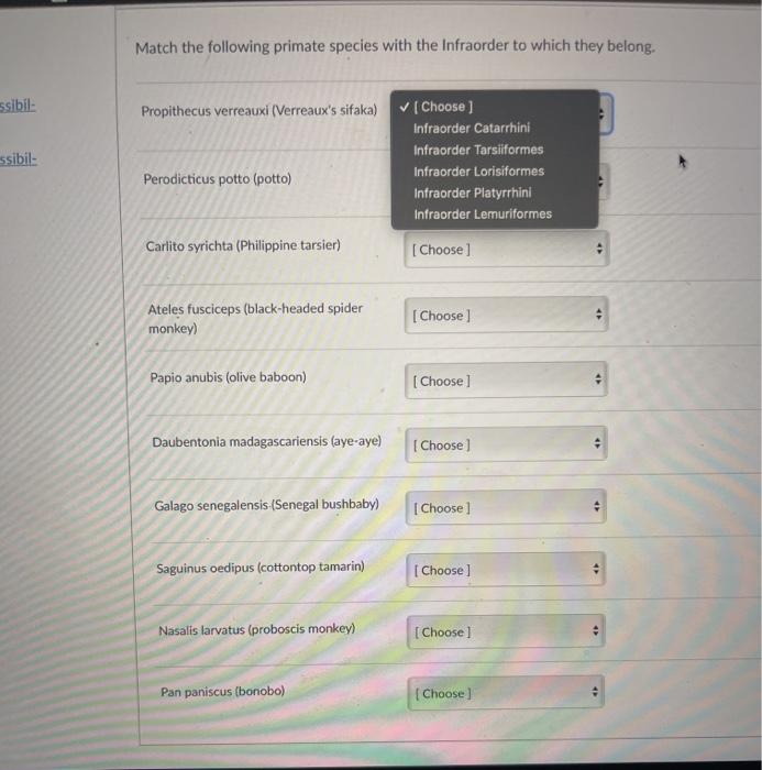 Solved Match the following primate species with the | Chegg.com