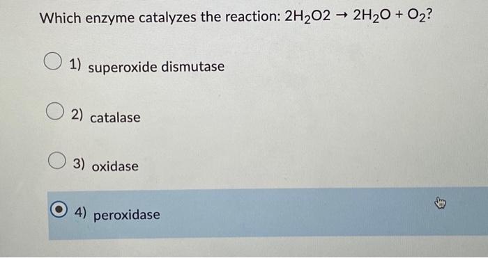 Solved Which enzyme catalyzes the reaction: 2H2O2→2H2O+O2 ? | Chegg.com