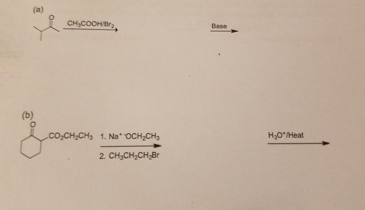Solved CH3COOH/Br2 Base (b) CO2CH2CH3 1. Na+ OCH2CH3 | Chegg.com