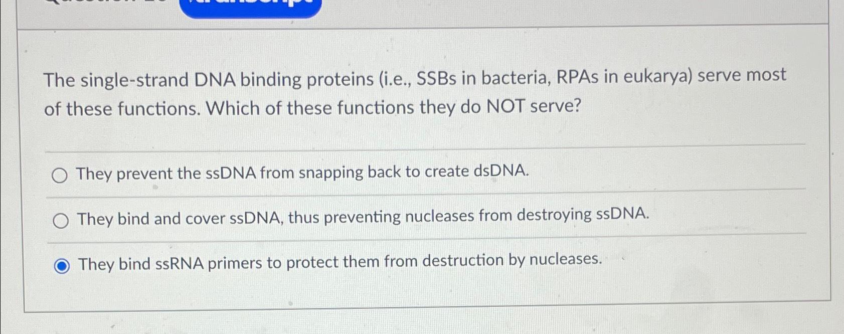 Solved The single-strand DNA binding proteins (i.e., ﻿SSBs | Chegg.com