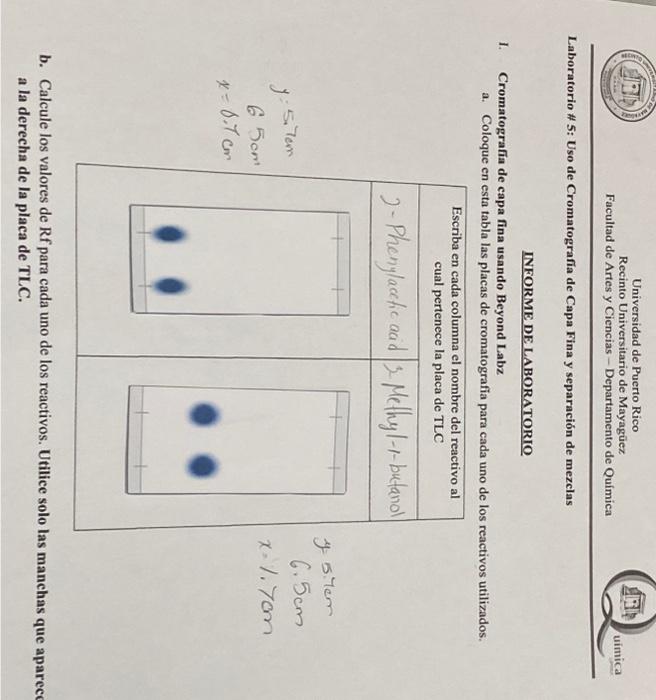 Calculate The Rf Values For Each Of The Spots Found