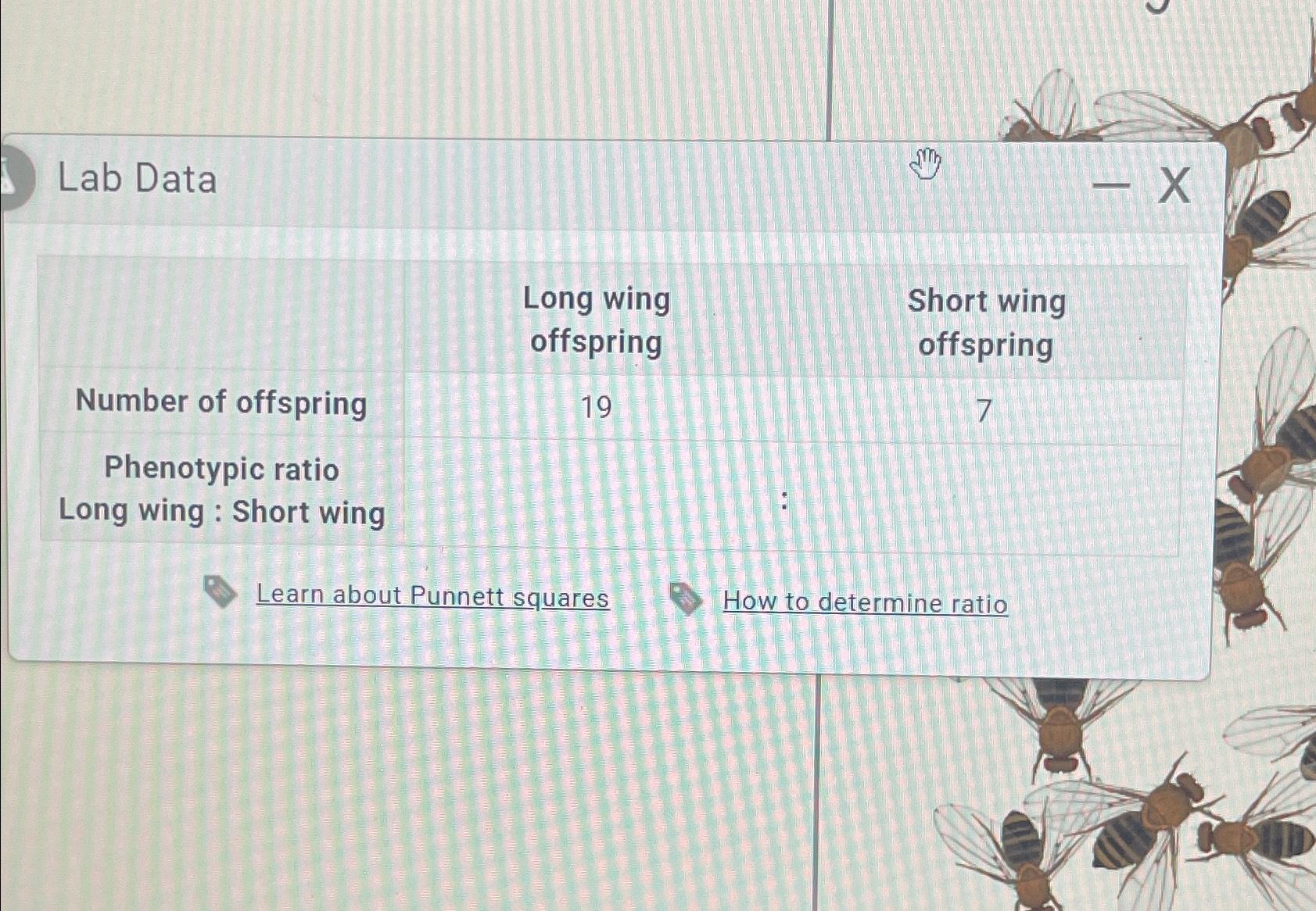 Solved Lab DataLong wingShort wingoffspringoffspringNumber | Chegg.com