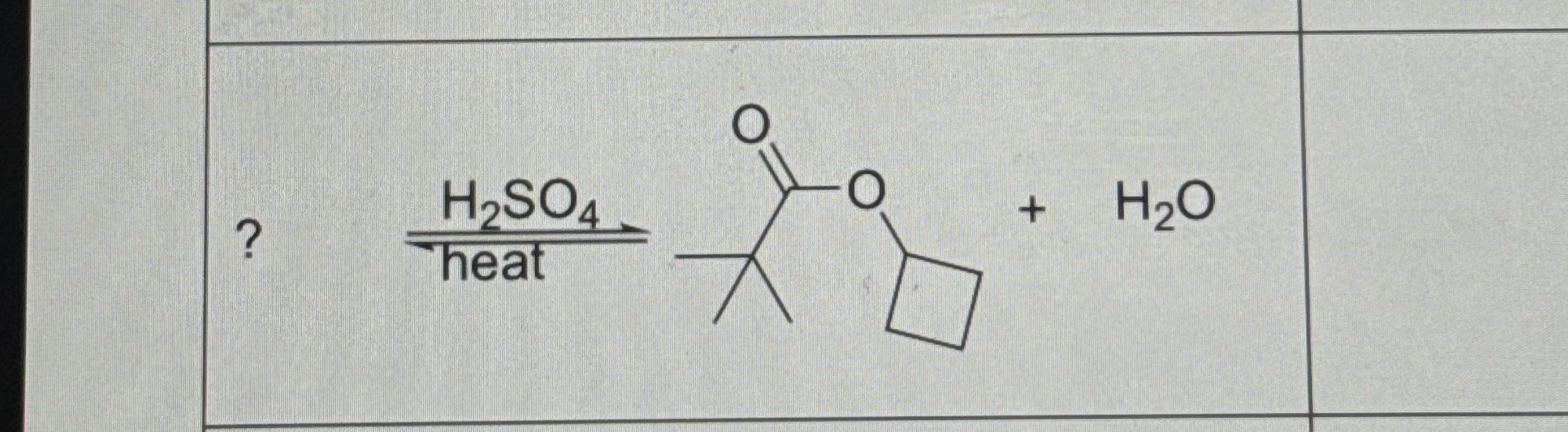 Solved by an EXPERT ?H2SO4 heat | Chegg.com