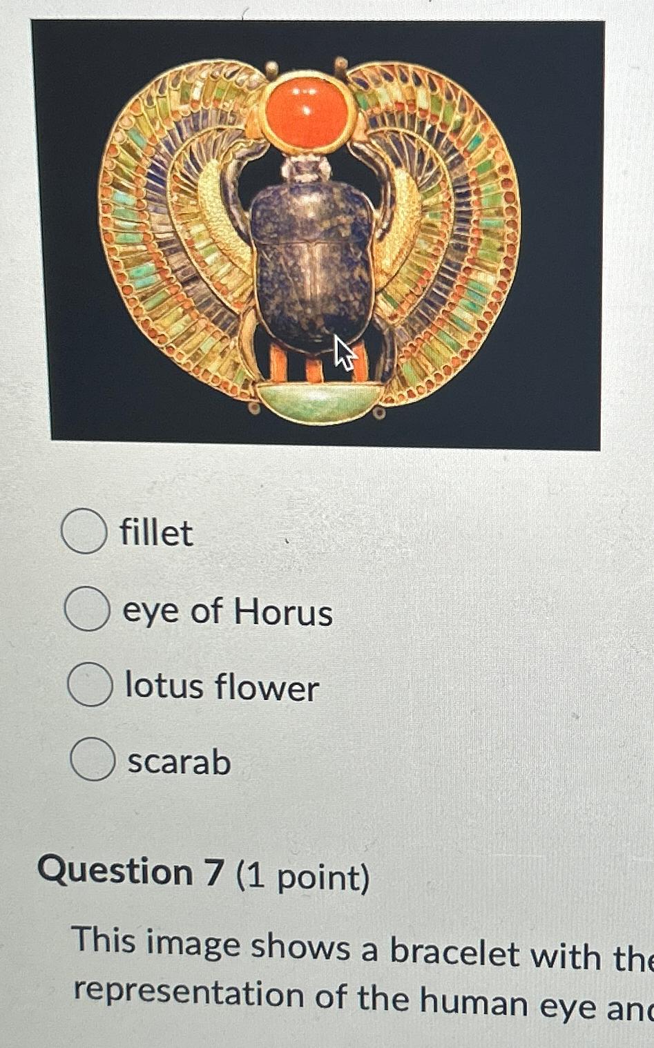 Solved filleteye of Horuslotus flowerscarabQuestion 7 (1 | Chegg.com