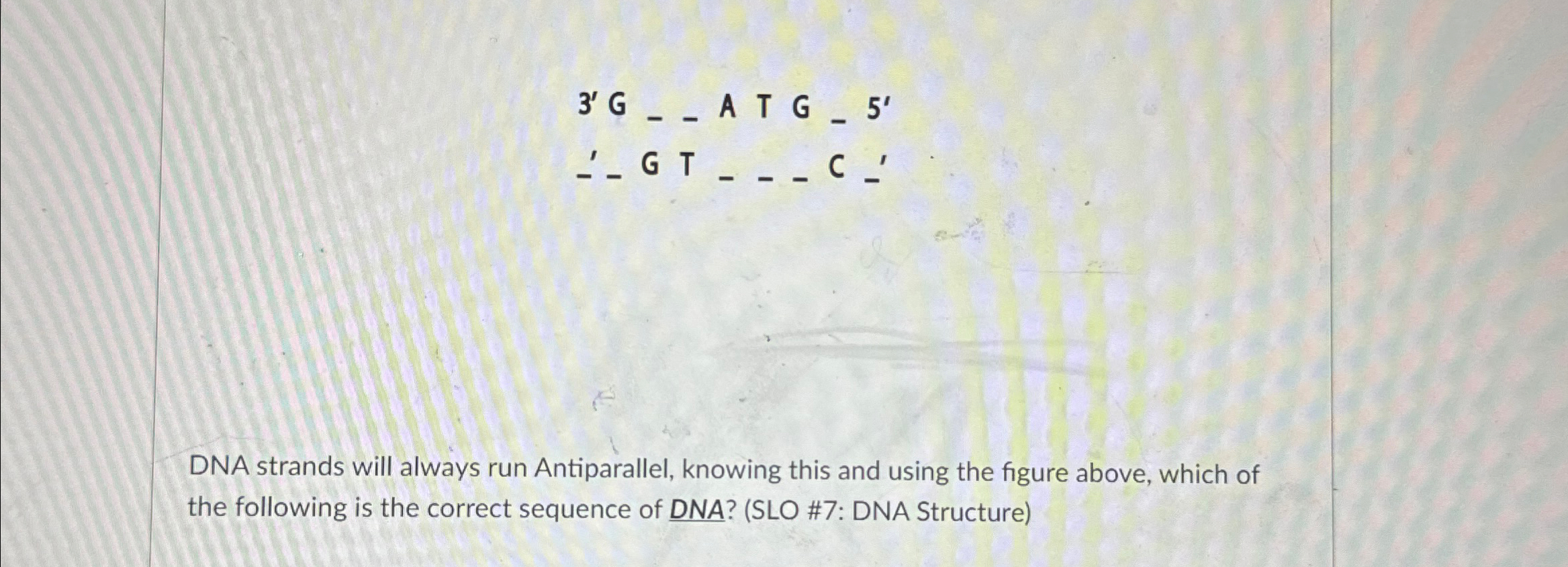 Solved 3'G--ATG ?() 5'DNA strands will always run | Chegg.com