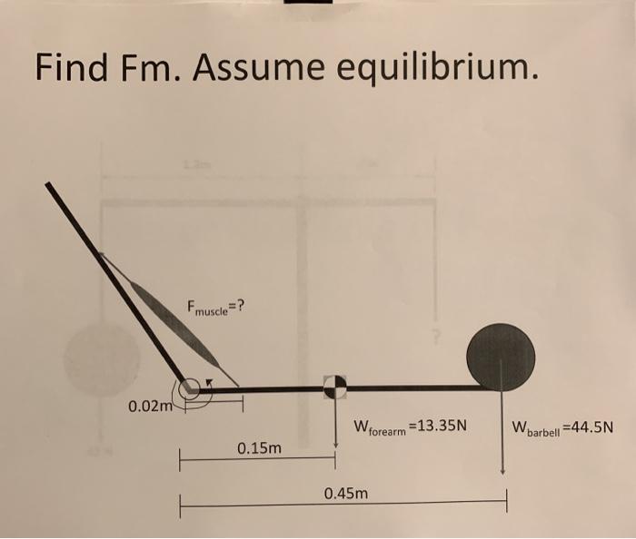 Solved Find Fm. Assume equilibrium. Fmuscle=? 0.02m W | Chegg.com