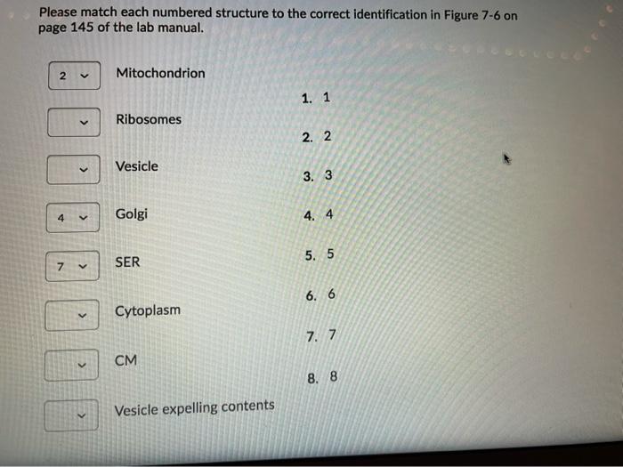 Solved 1. Label the parts of the generalized animal cell | Chegg.com