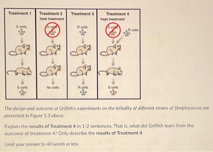 Solved The design and outcome of Griffith's experiments on | Chegg.com