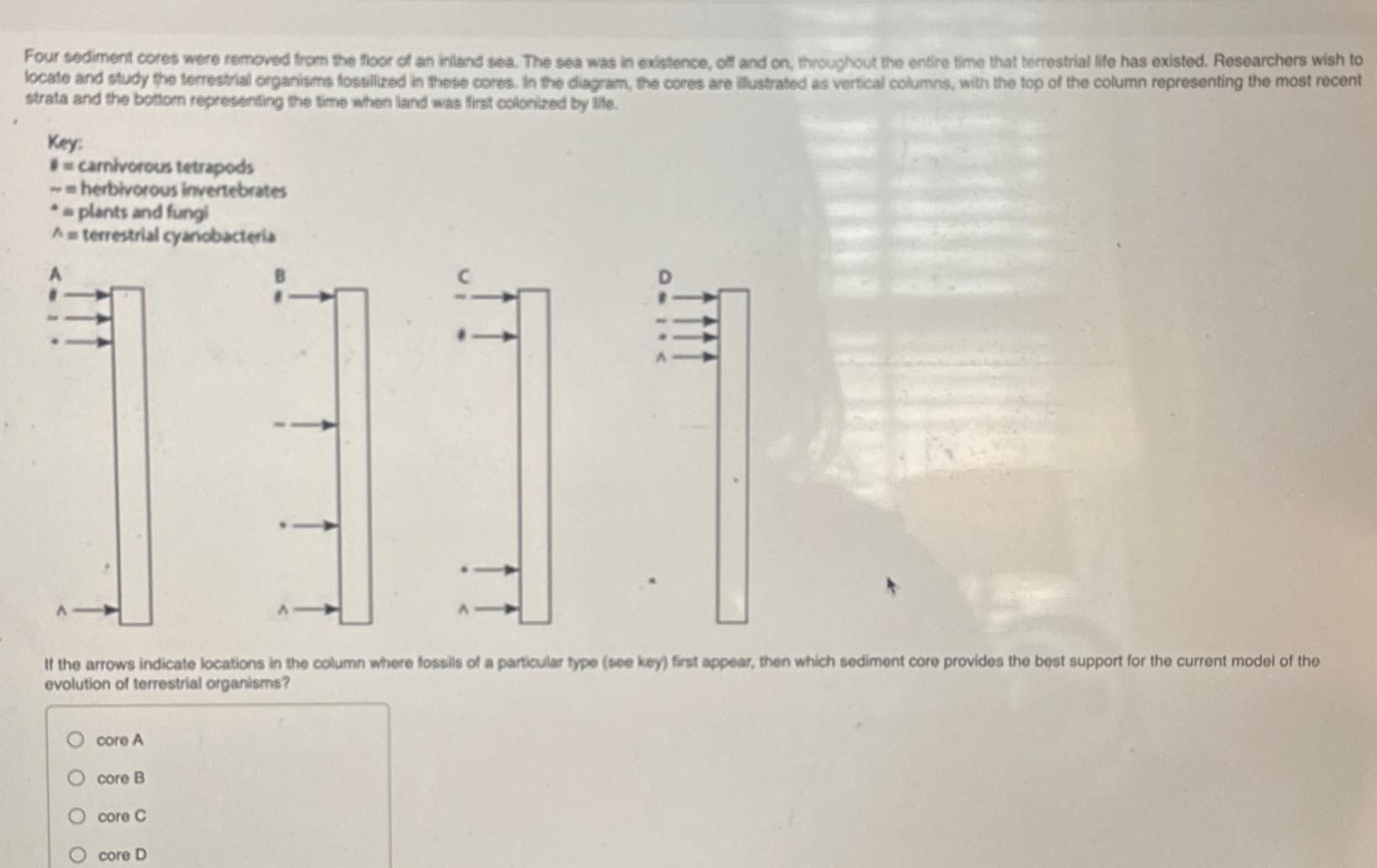 Solved Four sediment cores were removed from the floor of an | Chegg.com