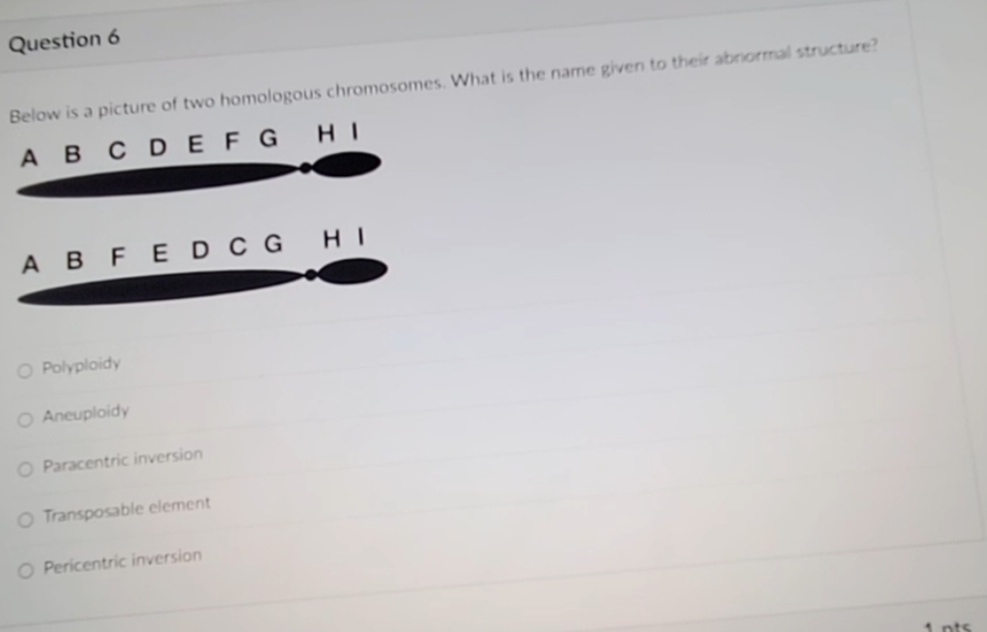 Solved Question 6nirture of two homologous chromosomes. What | Chegg.com