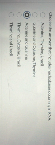 Solved Choose the answer that includes nucleobases occurring | Chegg.com
