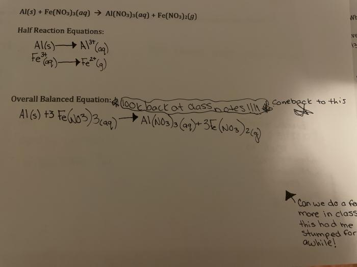 Solved Al(s) + Fe(NO3)2(aq) → Al(NO3)2(aq) + Fe(NO3)2(g) NE | Chegg.com