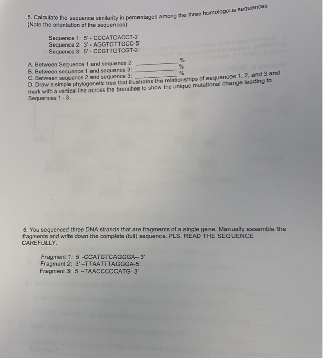 Solved 5. Calculate the sequence similarity in percentages | Chegg.com