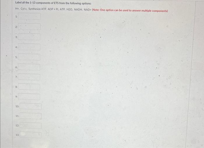[Solved]: Label all the 1-13 components of ETS from the fo