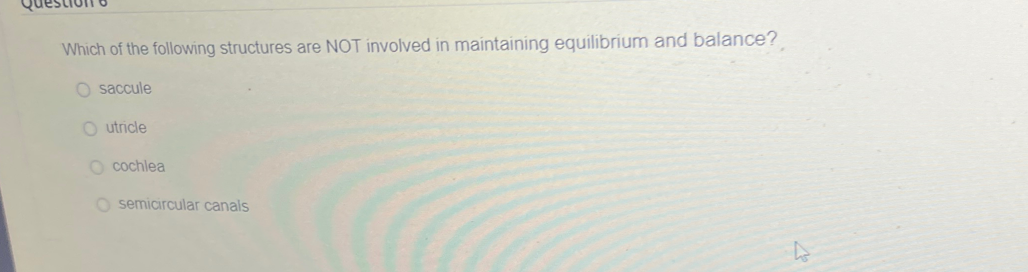 Solved Which of the following structures are NOT involved in | Chegg.com