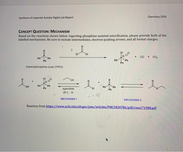 Solved Synthesis of Isopentyl Acetate Digital Lab Report | Chegg.com
