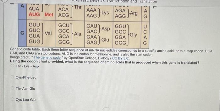 Solved QUESTION 12 A sequence of RNA is shown below: 5' ACG | Chegg.com