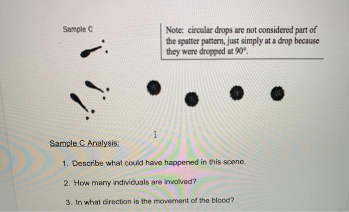 Solved BLOOD ACTIVITY - AREA OF CONVERGENCE Background: The | Chegg.com