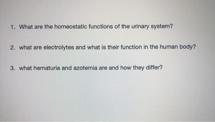 Solved 1. What are the homeostatic functions of the urinary | Chegg.com