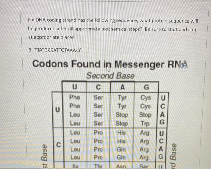 Solved If a DNA coding strand has the following sequence, | Chegg.com