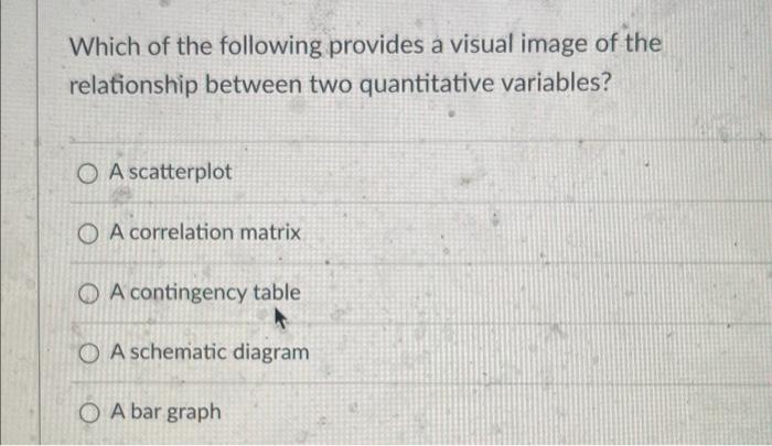 Solved Which of the following provides a visual image of the | Chegg.com