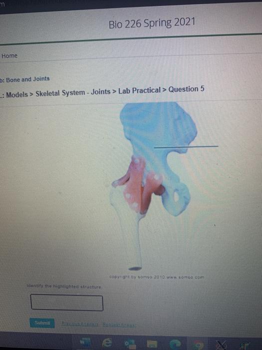 Solved Bio 226 Spring 2021 Home b: Bone and Joints : Models | Chegg.com
