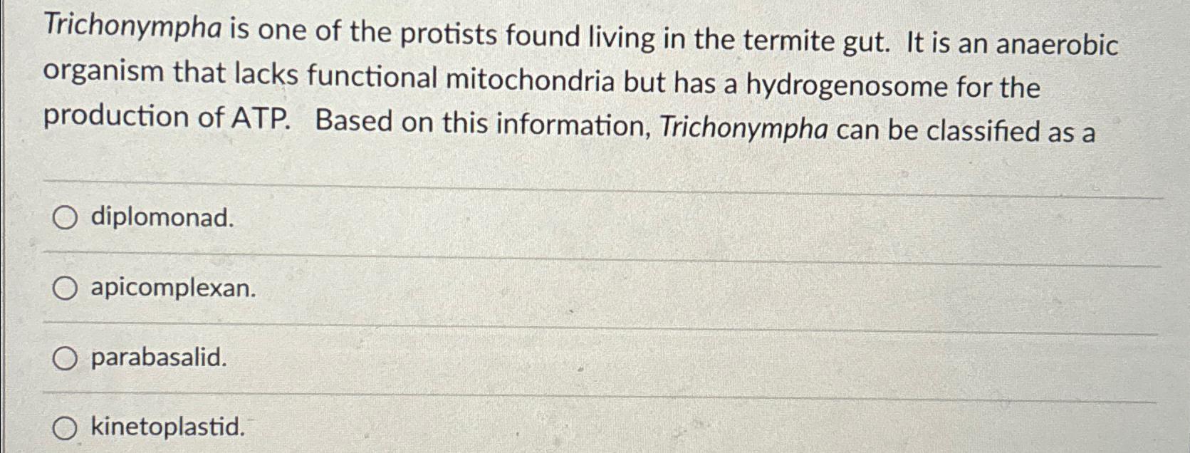 Solved Trichonympha is one of the protists found living in | Chegg.com
