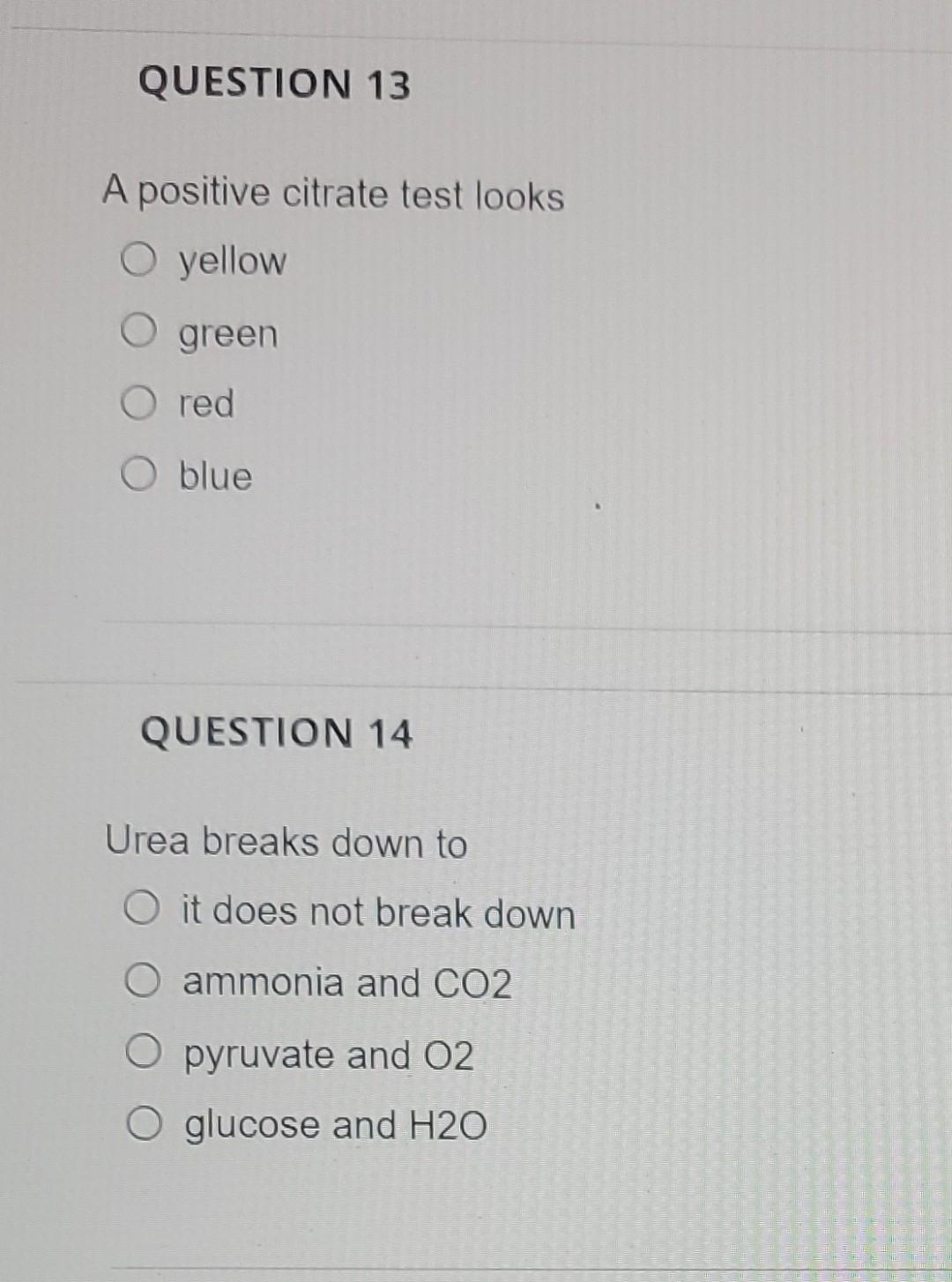 Solved A positive citrate test looks yellow green red blue | Chegg.com