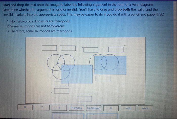 Solved Drag and drop the text onto the image to label the | Chegg.com