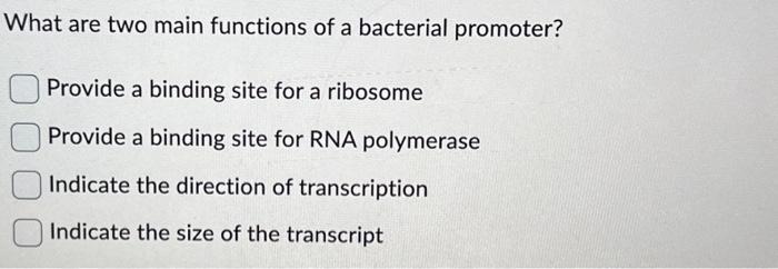 Solved What are two main functions of a bacterial promoter? | Chegg.com