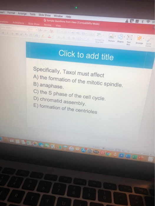 Solved sert Format Arrange Tools Slide Show Window Help | Chegg.com