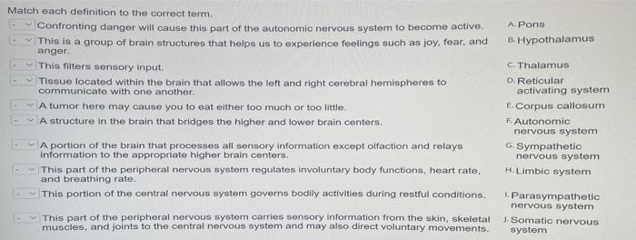 Solved Match each definition to the correct term. | Chegg.com