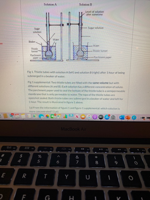 Solved Solution A Solution B Level of solution after | Chegg.com