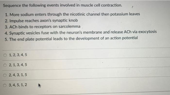 Solved Sequence the following events involved in muscle cell | Chegg.com